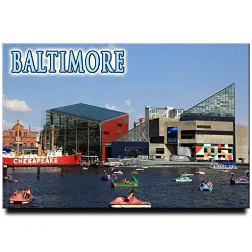Aquarium Baltimore: 5 Dazzling Exhibits To See Aquarium Baltimore: 5 Dazzling Exhibits To See