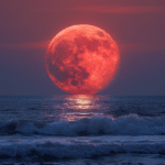 Why Is the Sun Red Today: Unveiling the Mystery